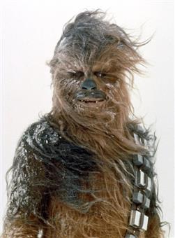 Waxing: Male Body Services - Joanne Reed